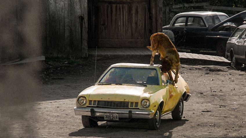 Meathook Cinema Hall of Fame- Cujo (1983) – Meathook Cinema