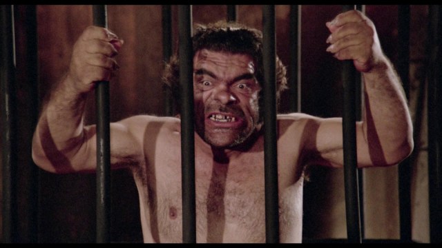 The Video Nasties Reviewed- Section 1- Day 5- The Beast In Heat (1977 ...